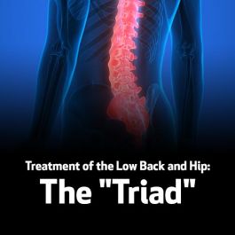 Treatment of the Low Back and Hip The Triad Course | Lhasa OMS