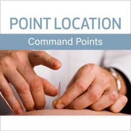 Point Location Series: Command Points CEU | Lhasa OMS