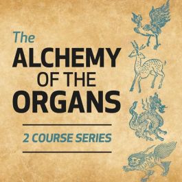 The Alchemy of the Organs CEU | Lhasa OMS