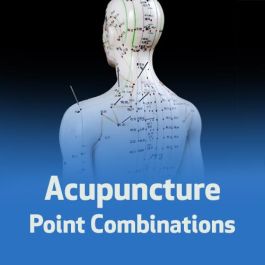 Acupuncture Point Combinations Course By David Hartmann|Lhasa OMS