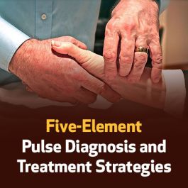 Five-Element Pulse Diagnosis and Treatment Strategies Course | Lhasa OMS