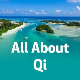 All About Qi - Lhasa OMS
