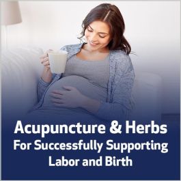 Acupuncture & Herbs For Supporting Labor and Birth | Lhasa OMS