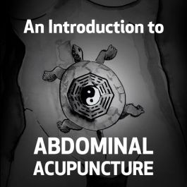 An Introduction to Abdominal Acupuncture Course | Lhasa OMS