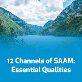 12 Channels of SAAM Essential Qualities