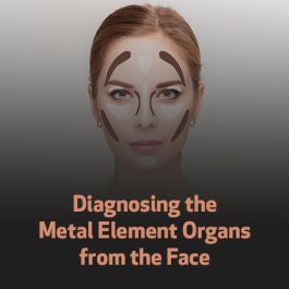 Diagnosing the Metal Element Organs from the Face CEU | Lhasa OMS