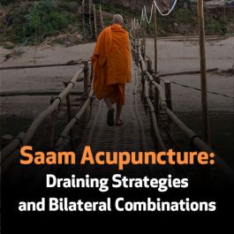 Saam Acupuncture Draining Strategies and Bilateral Combinations