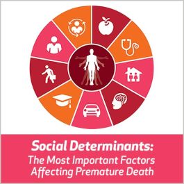 The Most Important Factors Affecting Premature Death CEU | Lhasa OMS